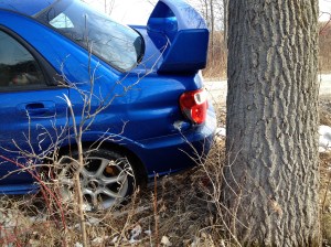 Oh, My Quaking Ash | gahlstone